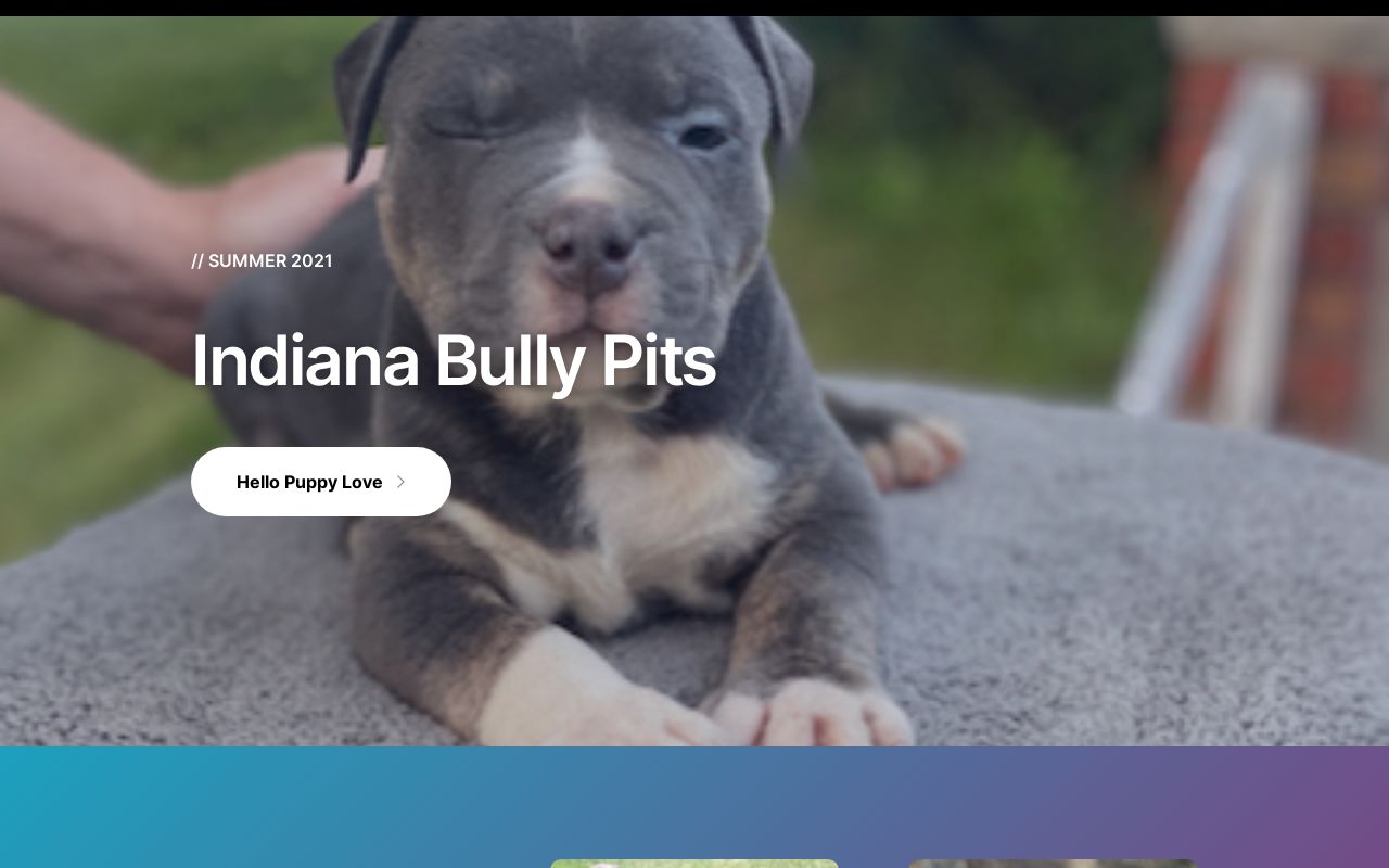 Indiana Bully Pits | Summer 2021